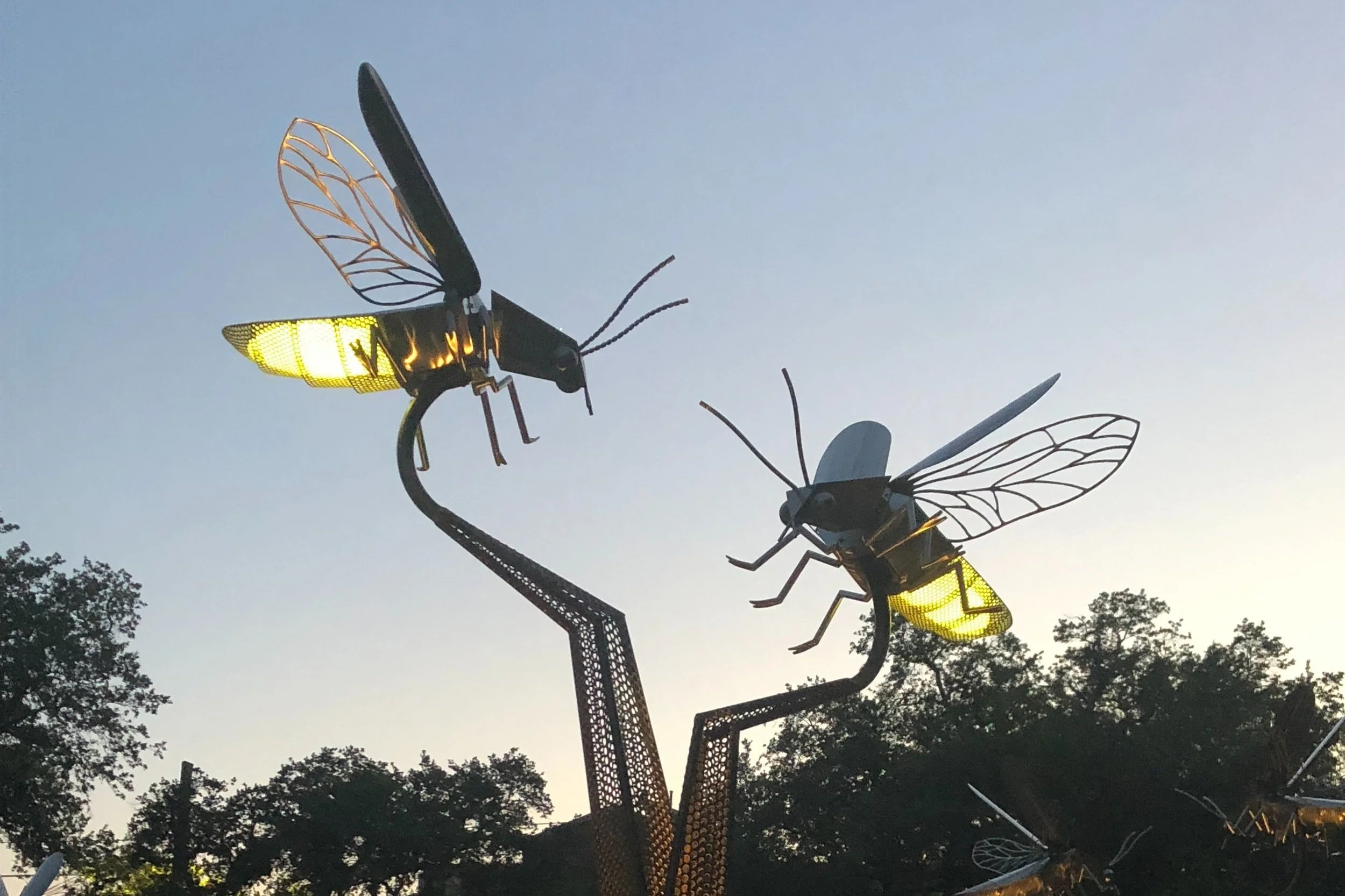 Friends of Woodland Park - Houston, Texas