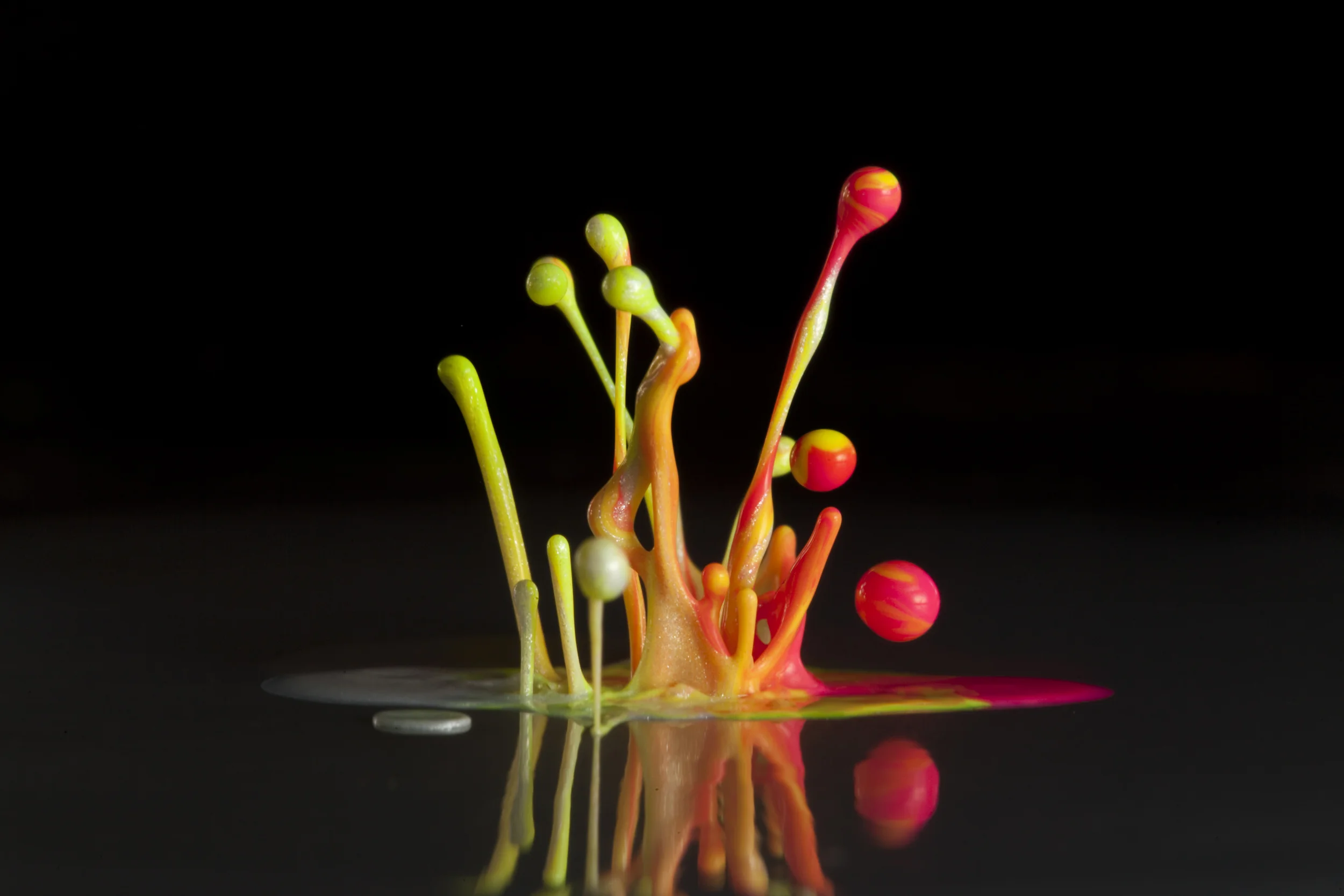 Paint Splash Photography