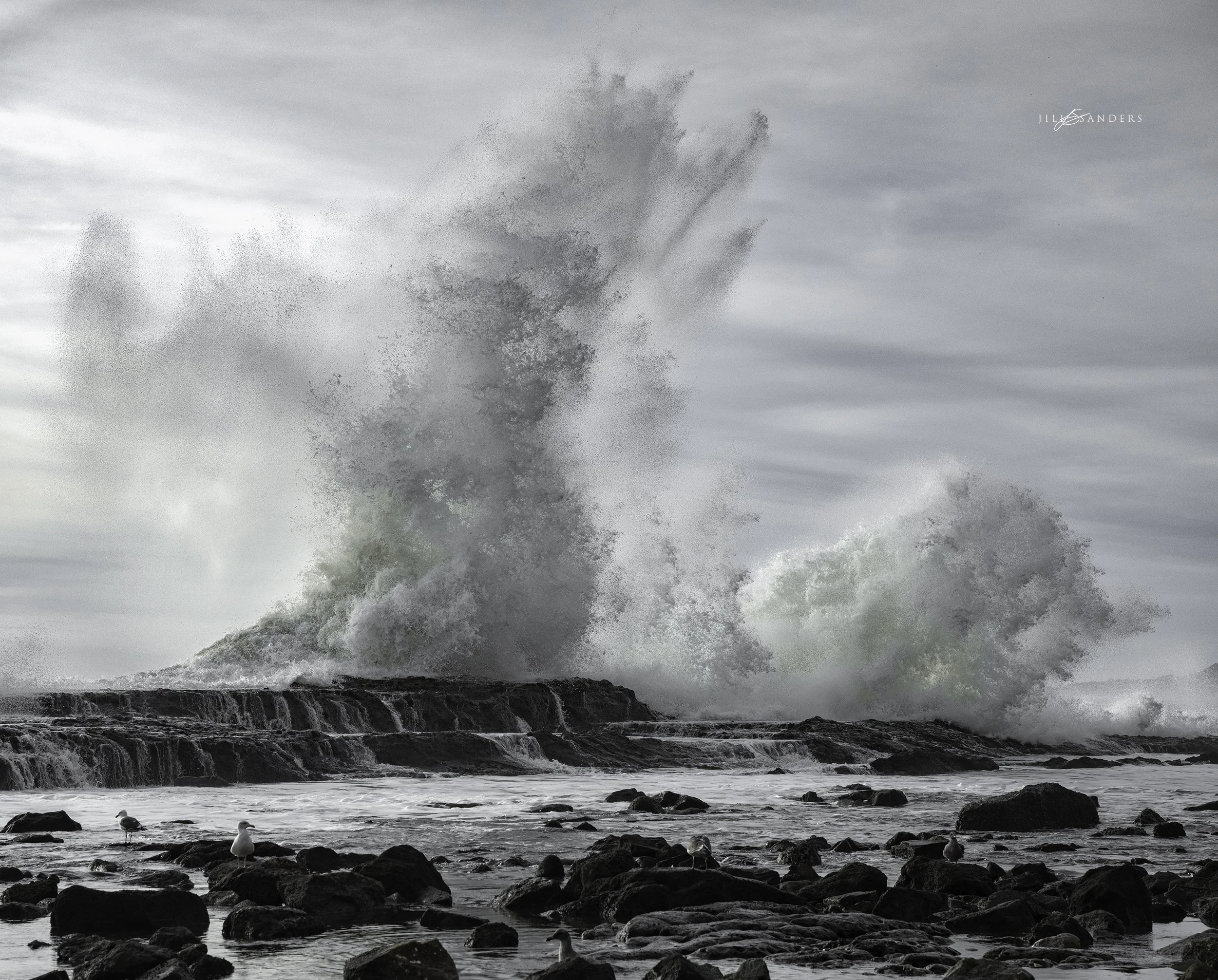 White Point — Jill sanders photography