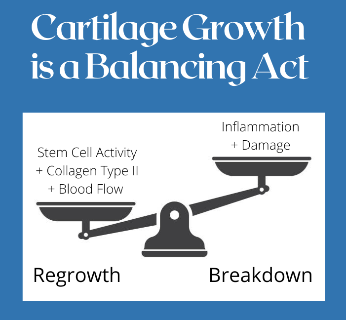 Can you regrow knee cartilage? YES - In just minutes a day ...