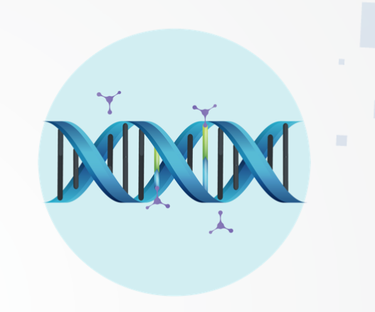 TruDiagnostic Review: The most accurate biological age test? — A Longer ...