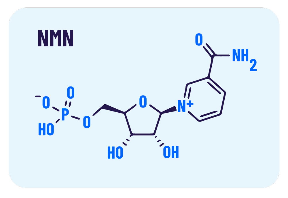 NMN Nicotinamide Mononucleotide before and after — A Longer Life