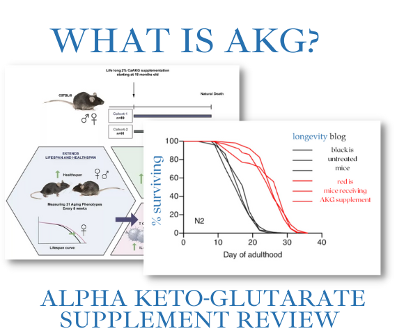 Calcium Alpha Ketoglutarate Supplement Review - How it Works ...