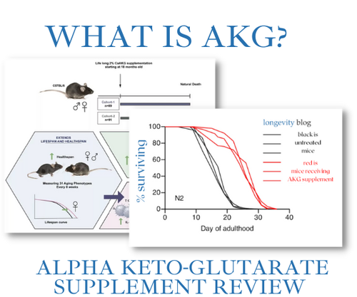 Calcium Alpha Ketoglutarate Supplement Review - How it Works ...