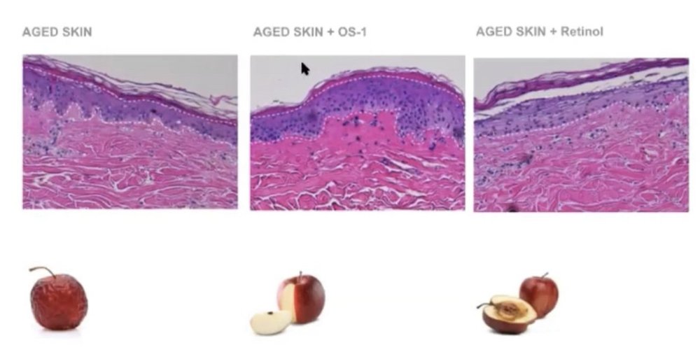 OneSkin Partnership and Discount | Youthful Radiance — A Longer Life