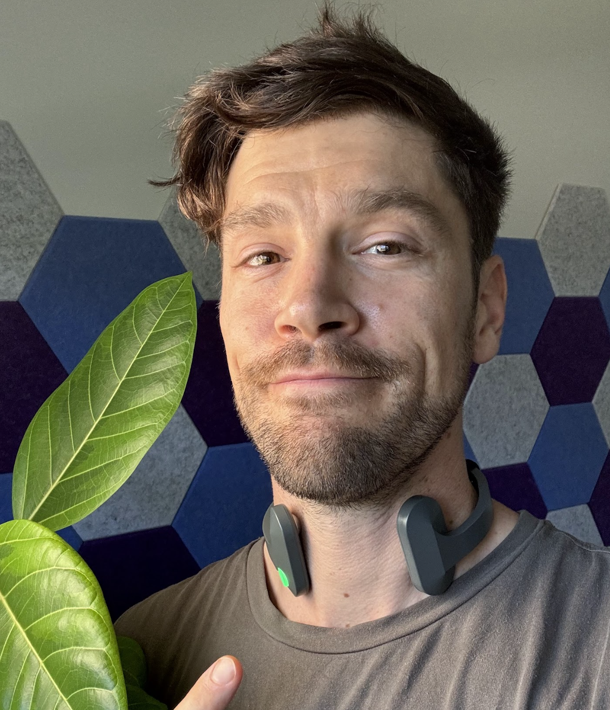 Does Pulsetto work? Yawn. It put us to sleep — A Longer Life