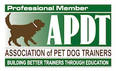 PumpkinPups Dog TrainingPumpkinPups Dog Training