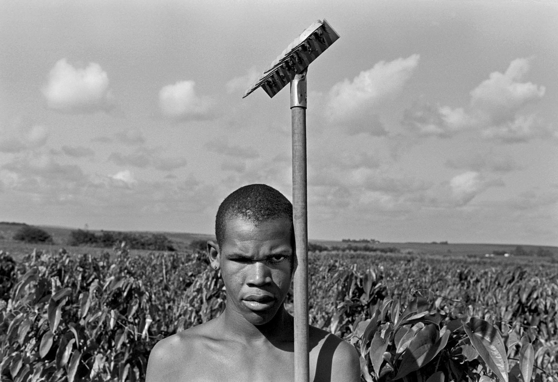 Glue Kids of Brazil — Tyrone Turner