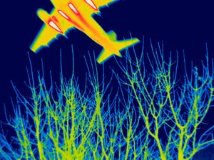Thermal Flying — Tyrone Turner