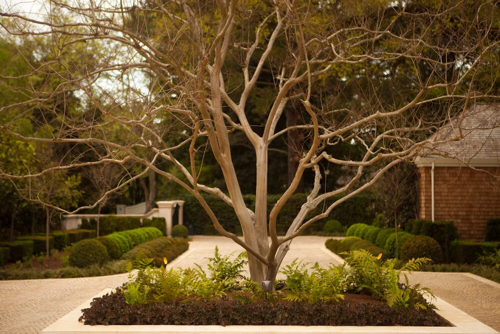 Boxwood Hall — Zeterre Landscape Architecture