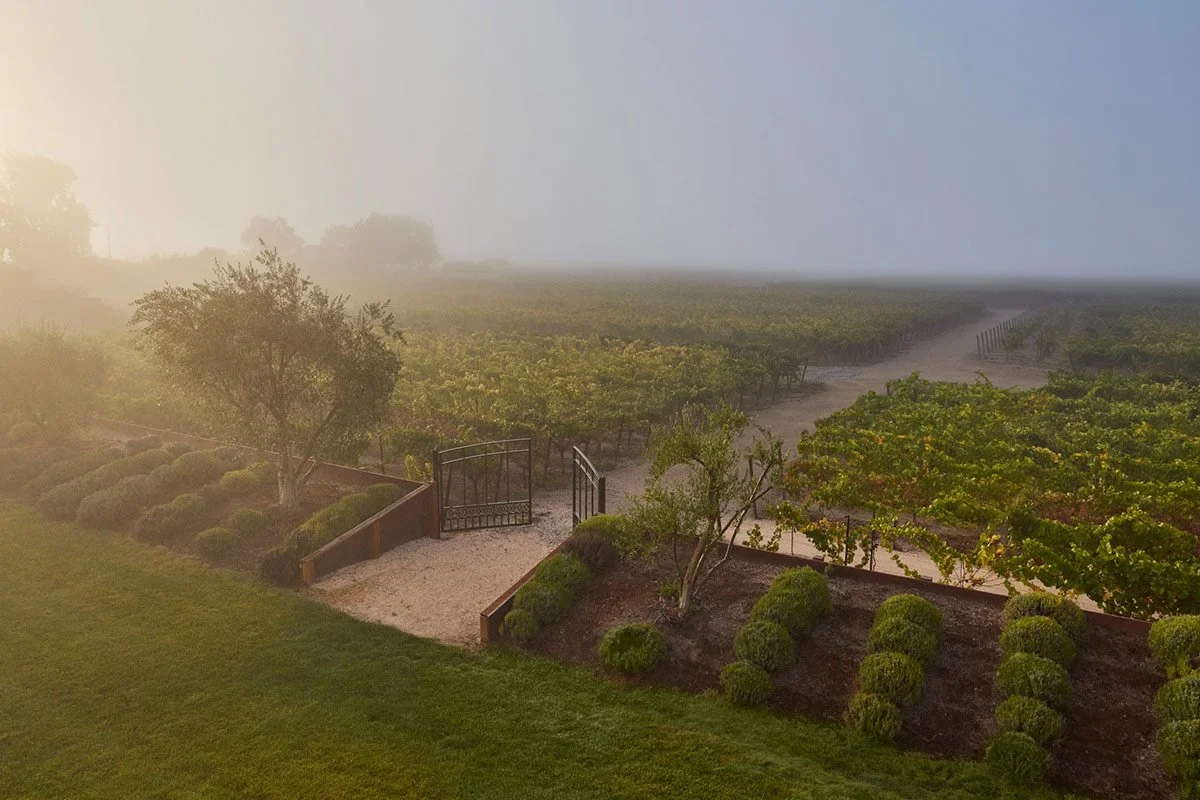 Sonoma Vintners Resort — Zeterre Landscape Architecture