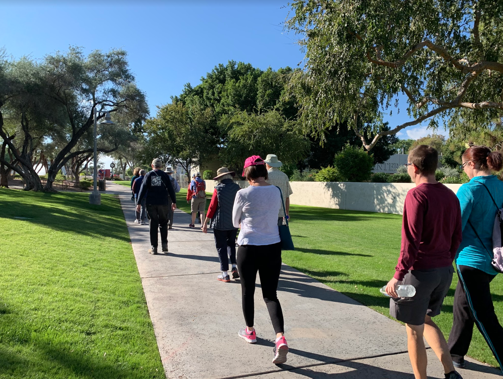 Walks — Museum of Walking