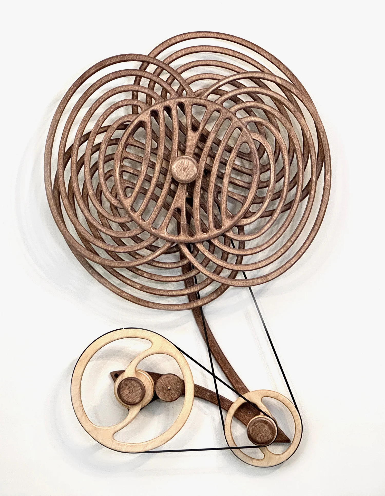 Portfolio — David C. Roy