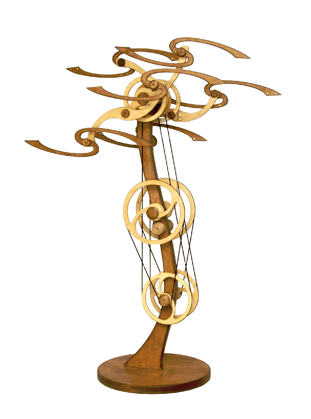 Willow Wind — David C. Roy