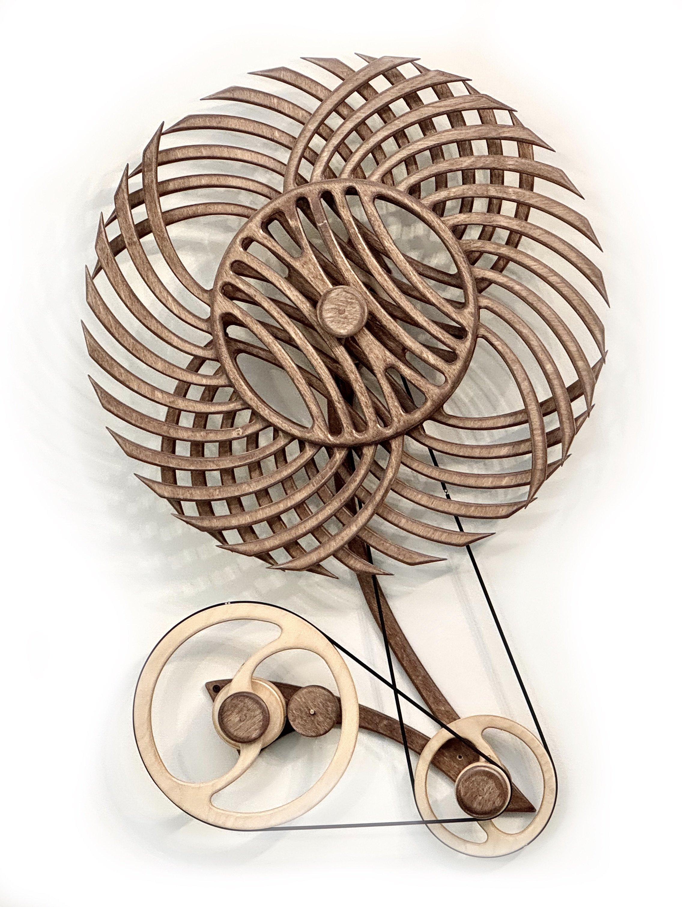 Portfolio — David C. Roy