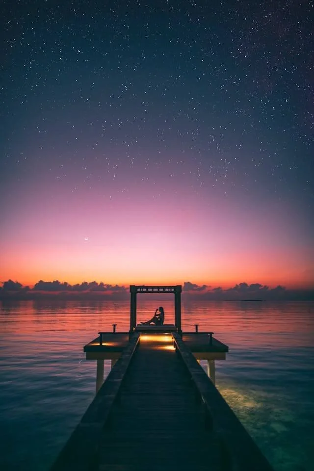 How To Use Pexels Free Stock Photos