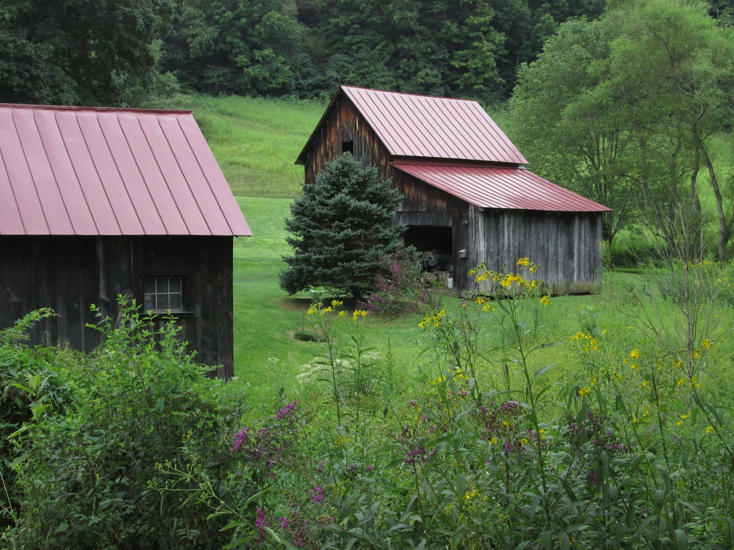How Architecture is improving the PA state park experience