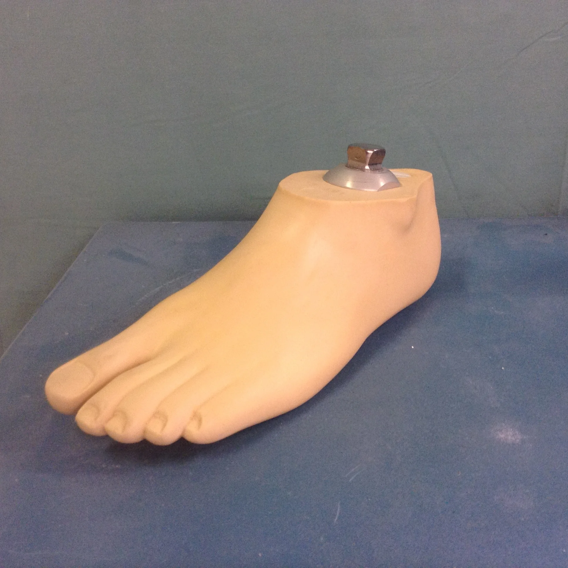 Prosthetic Foot — Q&A — Dankmeyer, Inc.