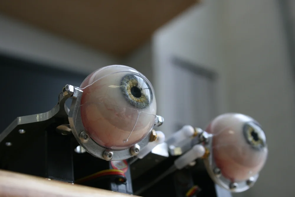 Animatronic Human Eye Mechanism — Visionary Effects