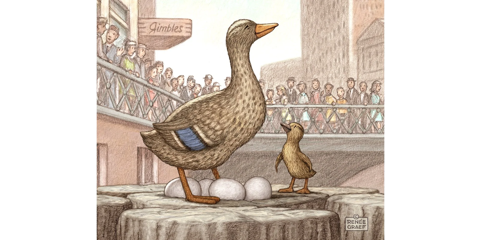 Portfolio — Renée Graef Illustration