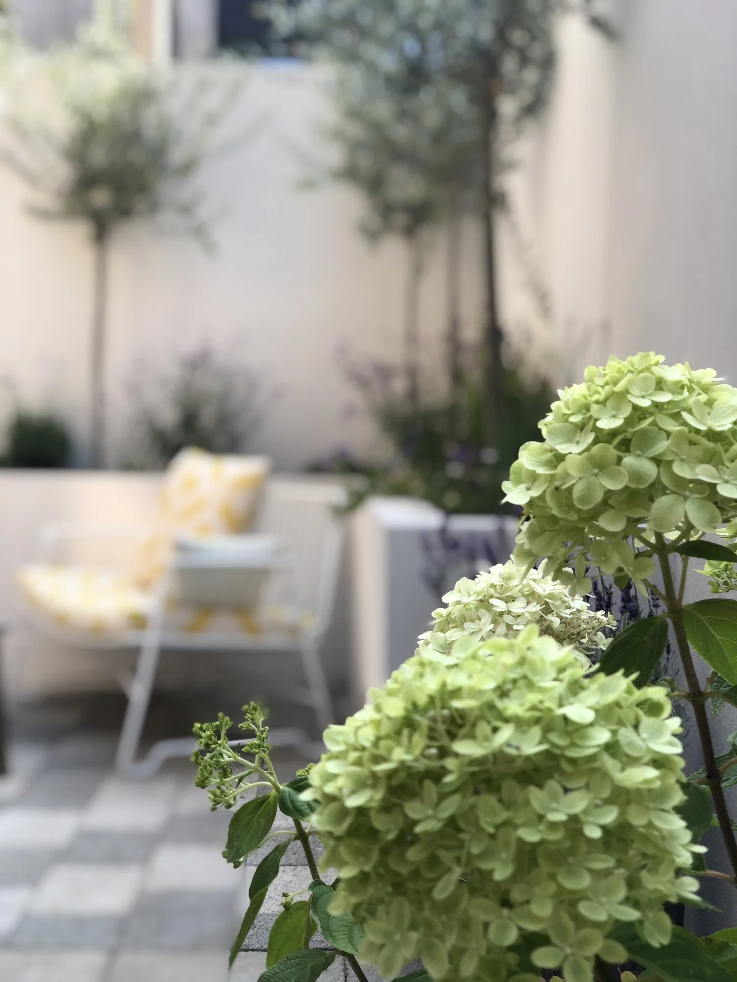 Expert landscaping design in North London gardens — Living Gardens