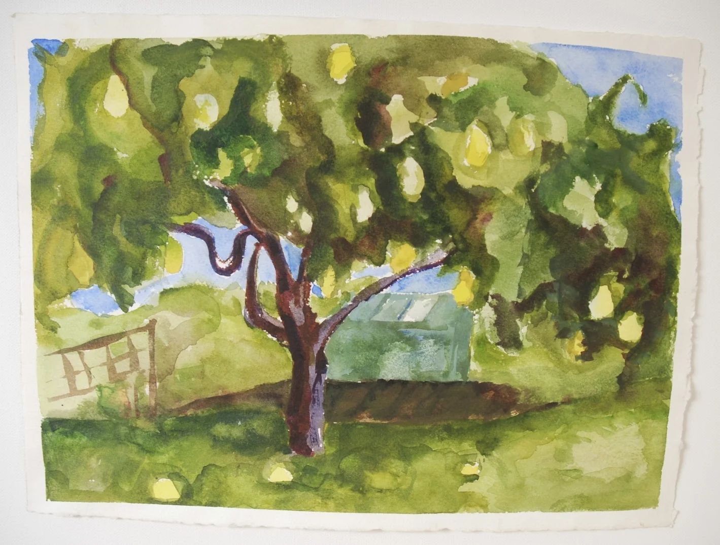 ART — Highgate Allotments Association