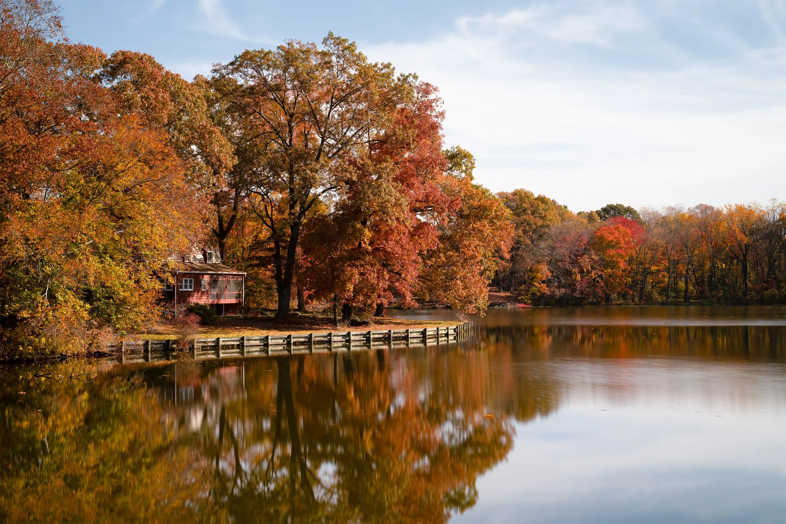 Fall Foliage - Eastern Shore — LEE GOODWIN PHOTOGRAPHY