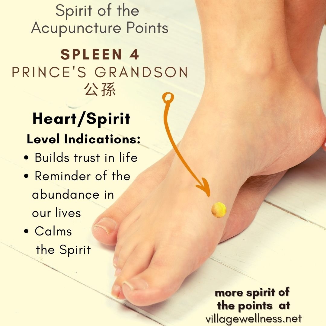 Spleen 4 -Prince's Grandson -An Acupuncture Point that embodies the ... Spleen 4 -Prince's Grandson -An Acupuncture Point that embodies the ...