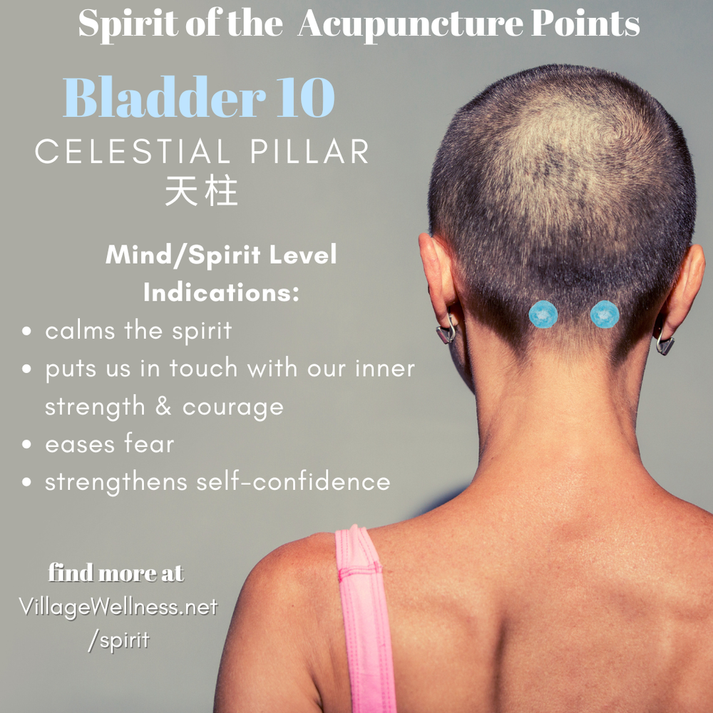 The Spirit of the Acupuncture Points — Village Wellness. a main line ...