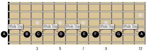 Whole Step and Half Step on Guitar — Guitar Music Theory Lessons by Ry ...