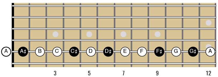 Sharp and Flat Notes on Guitar — Guitar Music Theory Lessons by Ry Naylor