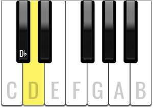 Sharp and Flat Notes on Guitar — Guitar Music Theory Lessons by Ry Naylor