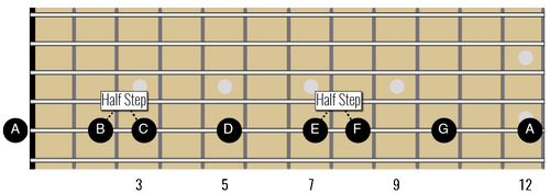 Whole Step and Half Step on Guitar — Guitar Music Theory Lessons by Ry ...