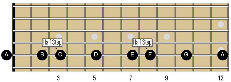 Whole Step and Half Step on Guitar — Guitar Music Theory Lessons by Ry ...