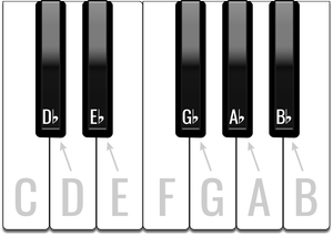 Sharp and Flat Notes on Guitar — Guitar Music Theory Lessons by Ry Naylor