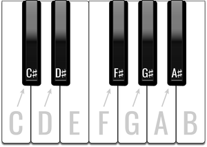 Sharp and Flat Notes on Guitar — Guitar Music Theory Lessons by Ry Naylor