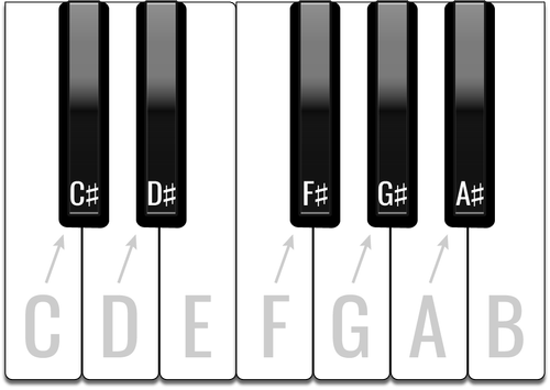 Sharp and Flat Notes on Guitar — Guitar Music Theory Lessons by Ry Naylor