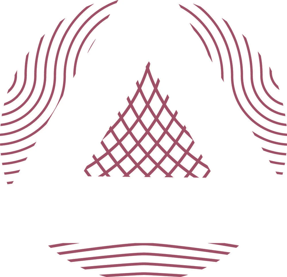 Upaya's Accelerator Program — Upaya Social Ventures