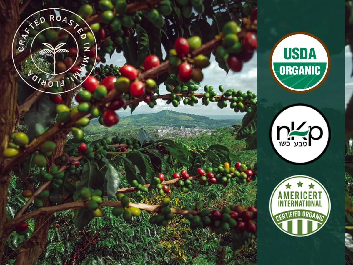 Guatemala Nespresso® Pods - USDA Certified Organic, Home Compostable, 6 ...