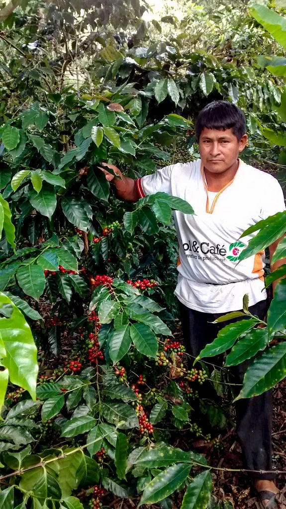 Peru Sol y Café Organic Fair Trade