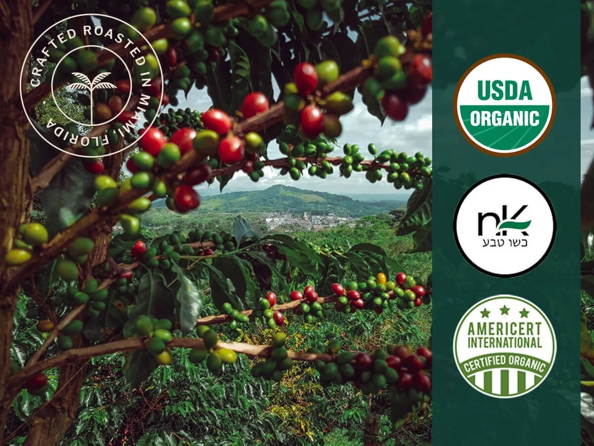 Costa Rica Nespresso® Pods - USDA Certified Organic, Home Compostable ...