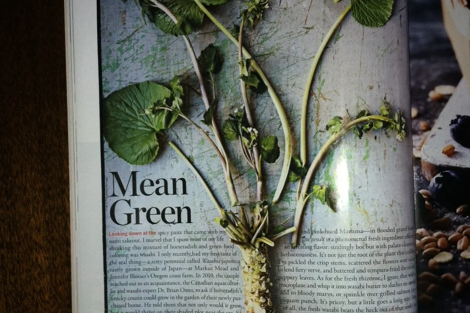 Press — The Wasabi Store