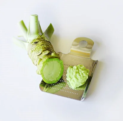Wasabi Root (rhizome) for food — The Wasabi Store