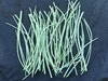 You Can Grow Wasabi In Your Back Yard — The Wasabi Store