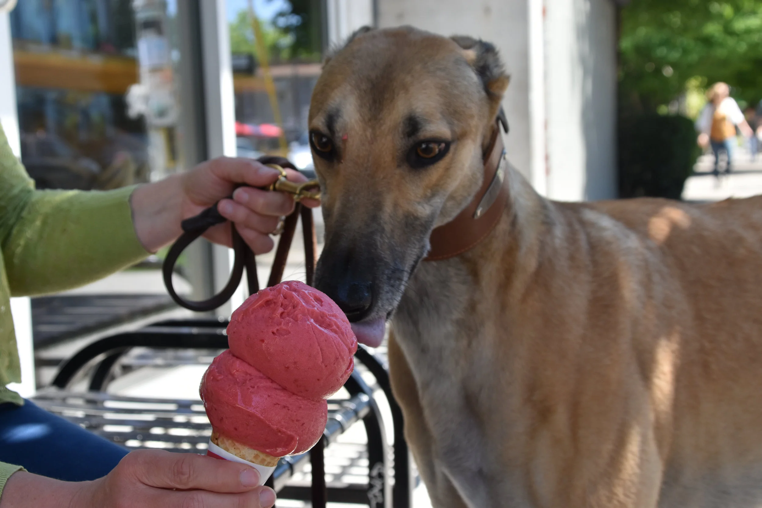 Salt & Straw’s Raspberry Wasabi Sorbet Made With Oregon Coast Wasabi ...