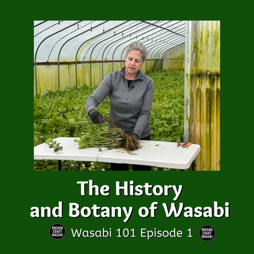 ARTICLES AND VIDEOS — The Wasabi Store