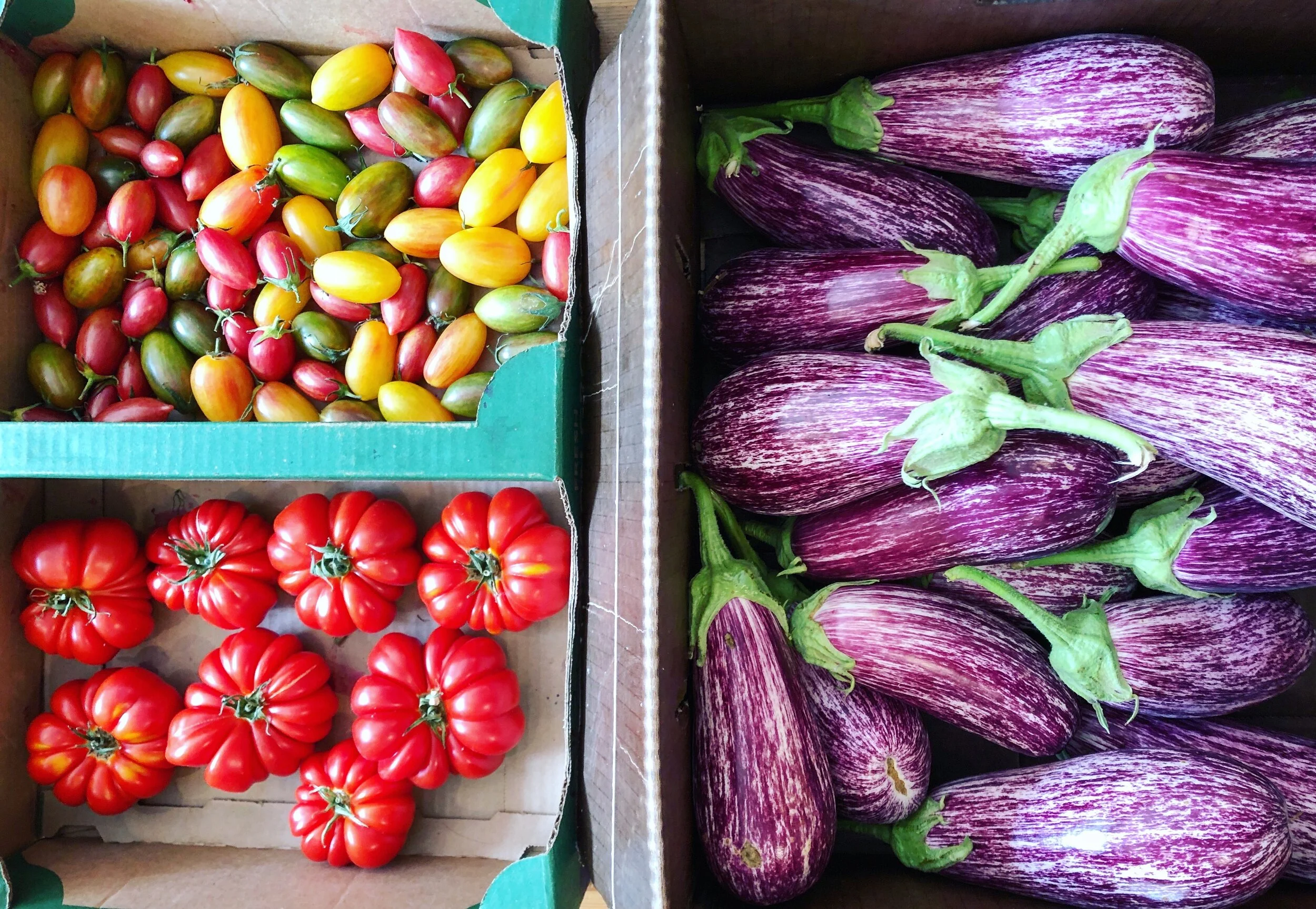 Sonya Michelle Sanford-Sonya Sanford