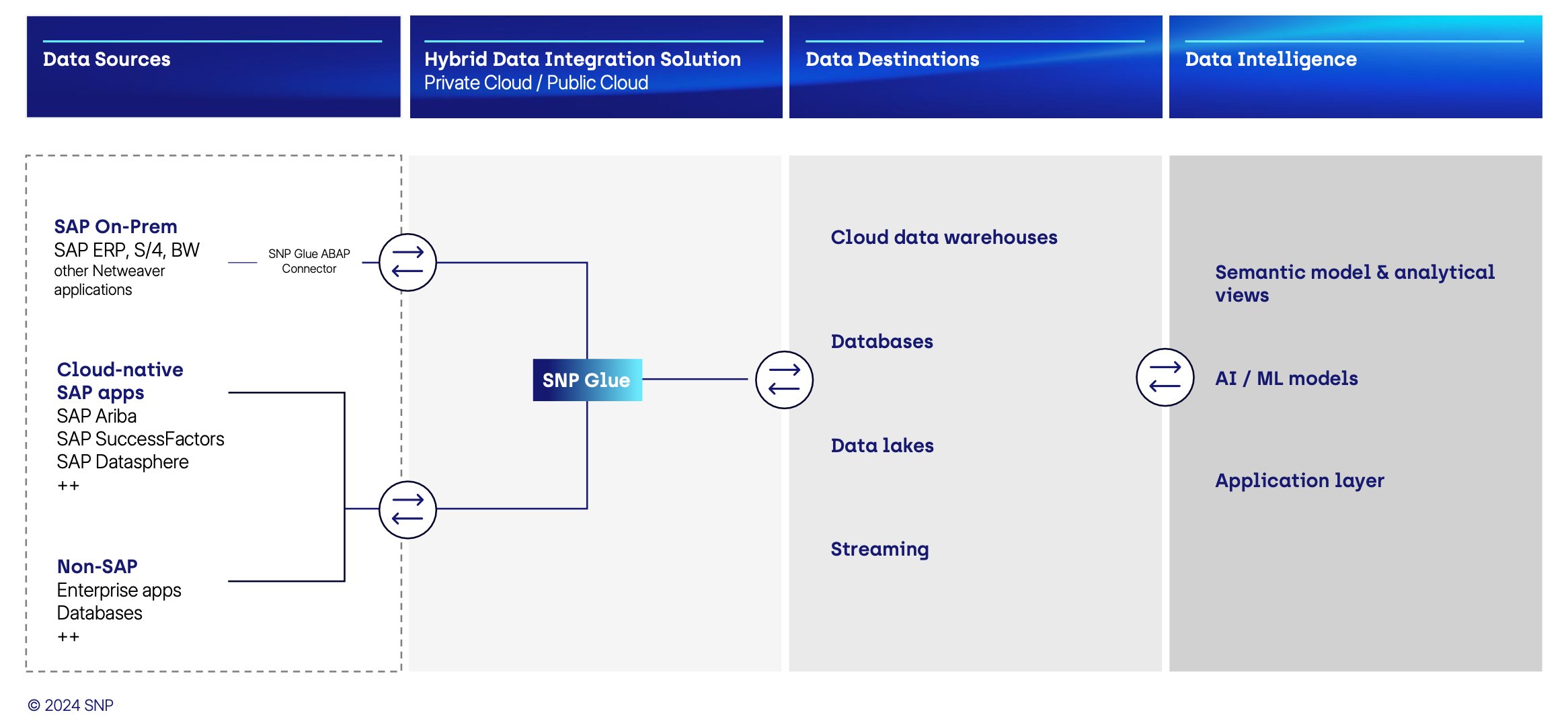 SNP Glue: Seamless SAP ERP Data Integration