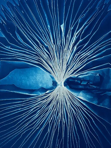 Cyanotype — dh bloomfield photography