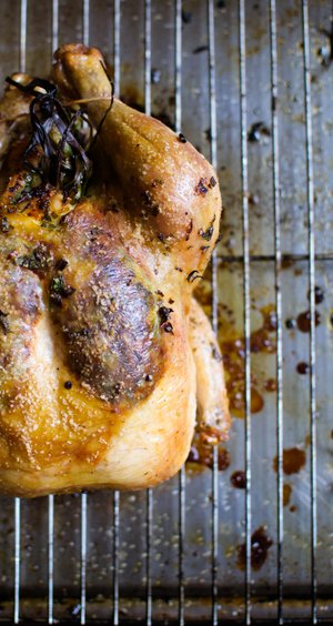 Daisy's Gremolata Roasted Chicken — The Hungry Scribbler